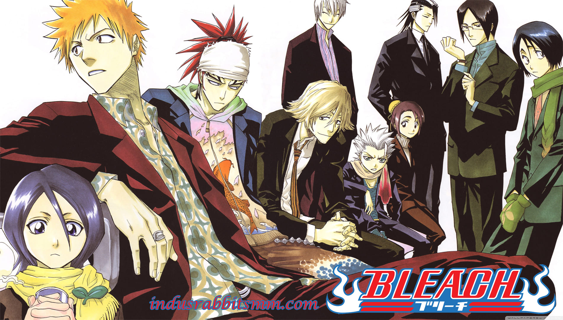 The Supernatural Allure of "Bleach"