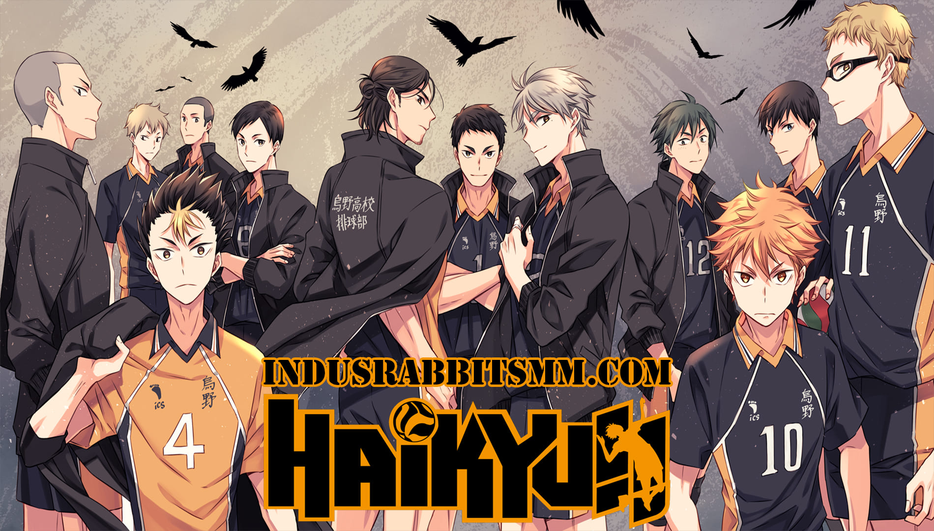 Haikyu!! Fly High! Volleyball! – Taking Sports Anime to New Heights