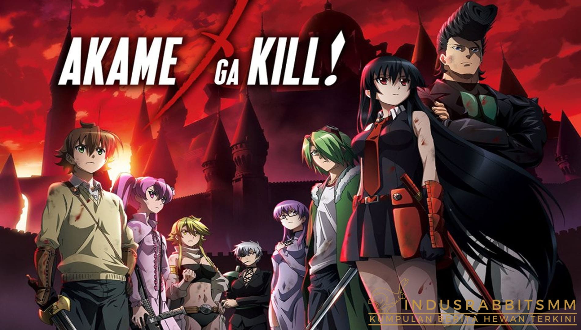 Akame ga Kill!: A Shounen Anime Masterpiece