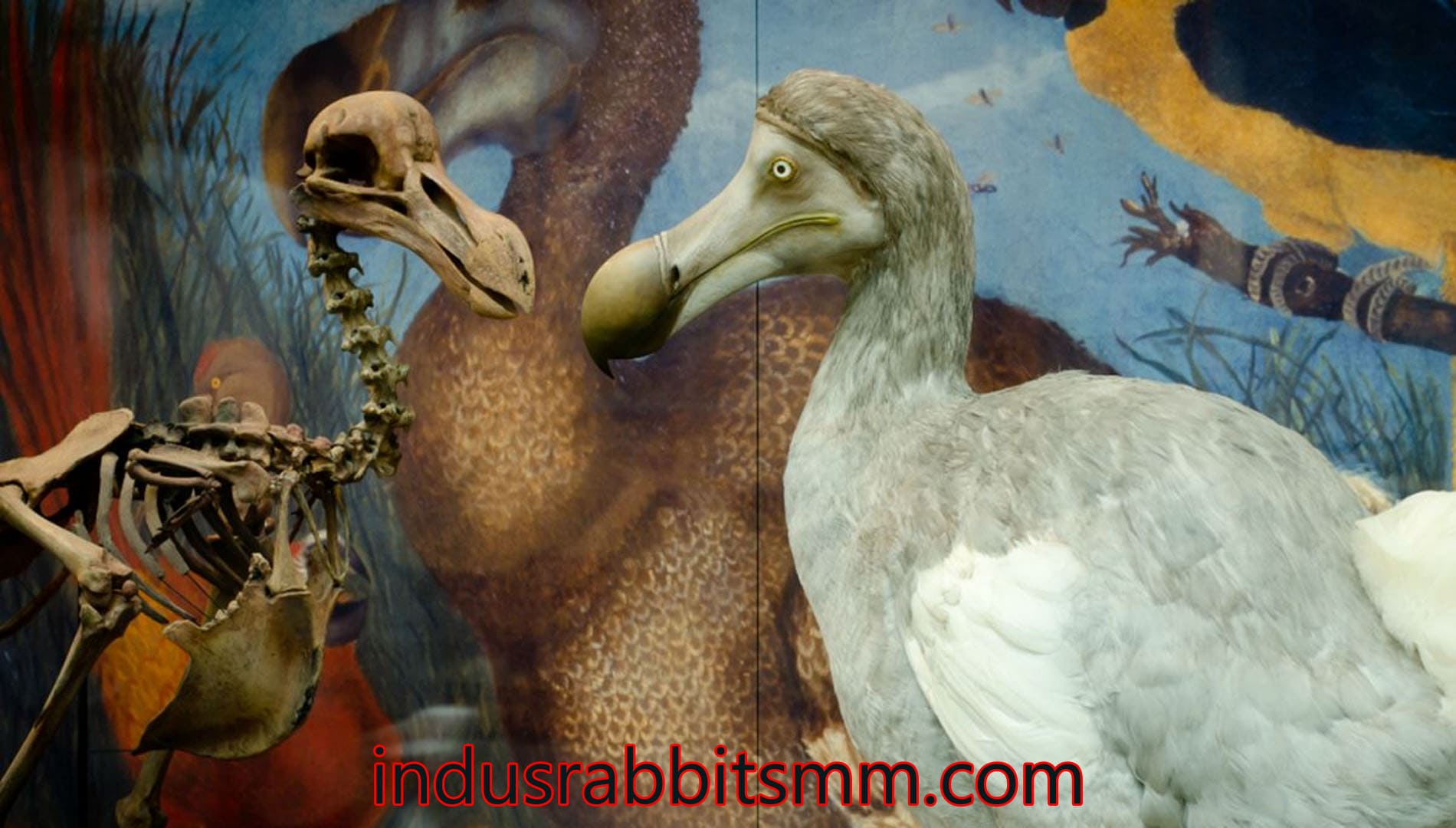 Jejak Terakhir Dodo: Mengapa Hewan Ini Punah?